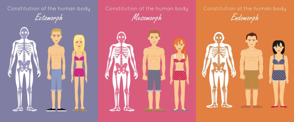 Conoce Tu Tipo de Cuerpo o Somatotipo | LinaNutriFit